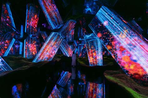 Oh By The Way Teamlab Biovortex Kyoto Museum