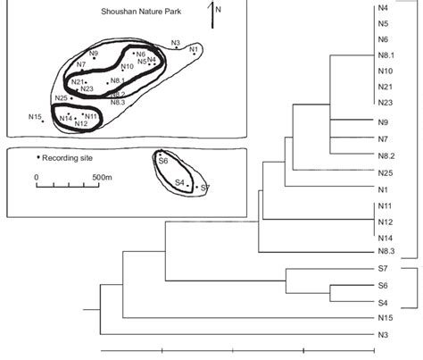 Tree Diagram Resulting From Average Linkage Clustering Using The