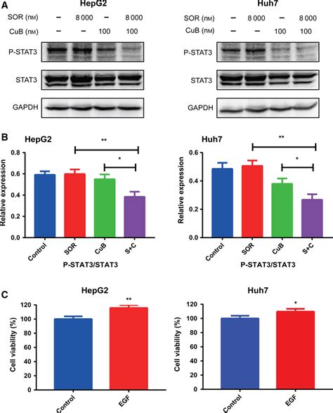 Inhibition Of Stat3 Phosphorylation Is Involved In The Synergistic