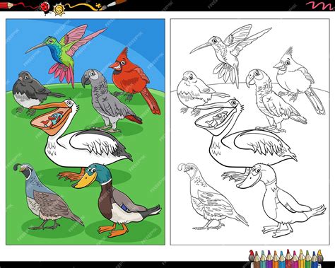 Мультяшные птицы животные персонажи окраски страницы Премиум векторы