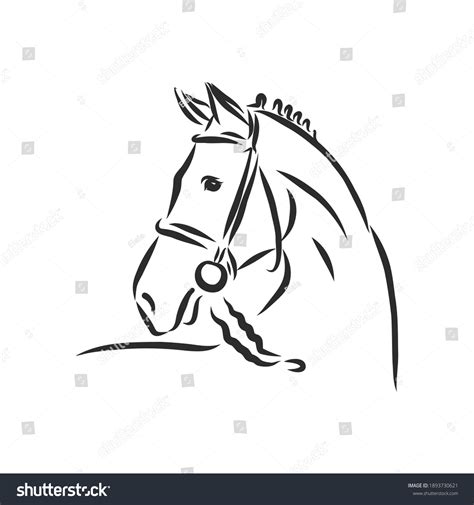 Vector Silhouette Horse Beautiful Horse Vector Stock Vector Royalty