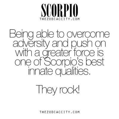 Daily Updates Follow Please Tumbex