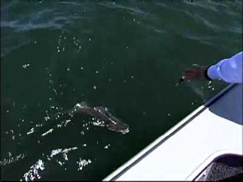 Lindy Rigging For Walleye YouTube