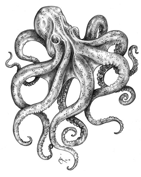 Осьминог рисунок 83 фото