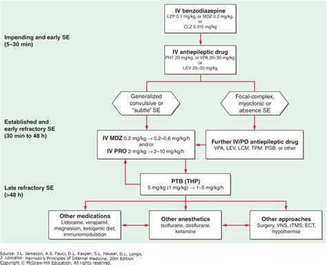 Seizure Classification Chart A Visual Reference Of Charts Chart Master