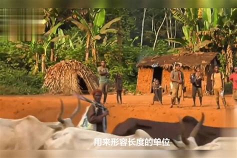 非洲一神秘部落，8岁开始生儿育女，平均身高不到15米部落身高