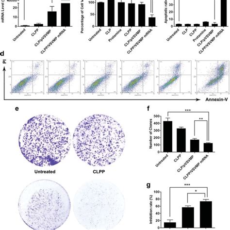 Liposome Protamine Complex Could Efficiently Deliver Mrna In Vitro The Download Scientific