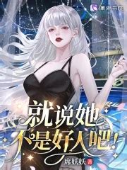 新官路商途 作者 更俗 爱下电子书