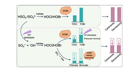 Overlooked Cytotoxicity And Genotoxicity To Mammalian Cells Caused By