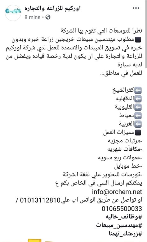 mahmoud abdelsalam on linkedin job