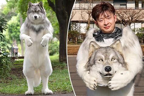 Un Homme Répond à Lappel De La Nature En Costume De Loup à 23 000