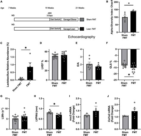 Fecal Microbiome Transplant Fmt Treatment Improved Diastolic Download Scientific Diagram