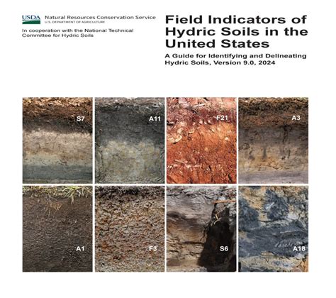Announcing The Latest Edition Of Field Indicators Of Hydric Soils In