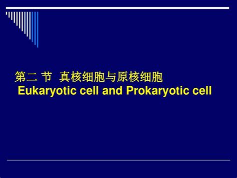 真核细胞与原核细胞word文档在线阅读与下载无忧文档