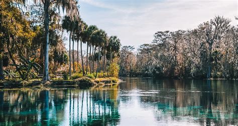 Silver Springs State Park Flórida Guia Completo Carpe Mundi