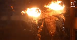 El Tsjcyl Deja Sin Efecto La Medida Cautelar Que Impidió El Festejo Del Toro Jubilo De