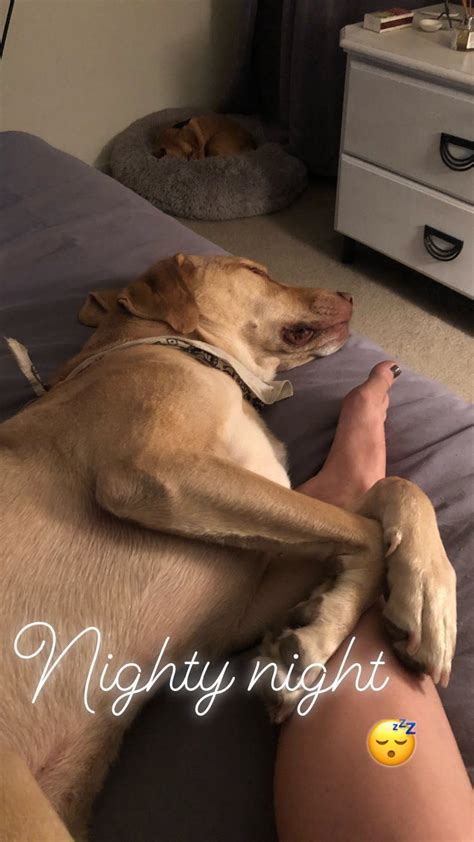 Amy Pembertons Feet
