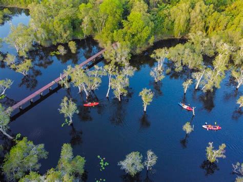 Premium Photo Top View Group Of People On Kayak Outing Down The