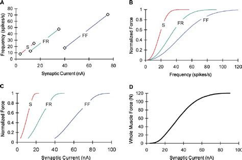 computer simulations of the input output relations for the pool of