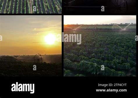 Farm Irrigation Systems Stock Videos And Footage Hd And 4k Video Clips
