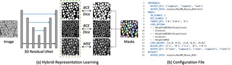 Configuration For Hybrid Representation Learning A The Multi Tasking Download Scientific