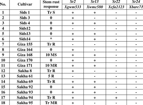 Adult Plant Stem Rust Response During Grwoing Season And Sr