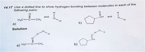 SOLVED: 17 Use a dotted line to show hydrogen bonding between molecules in each of the 14 ...