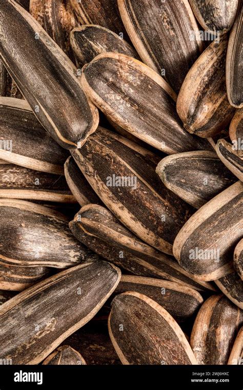 High Resolution Print Ready Exotic Macro Food Still Life