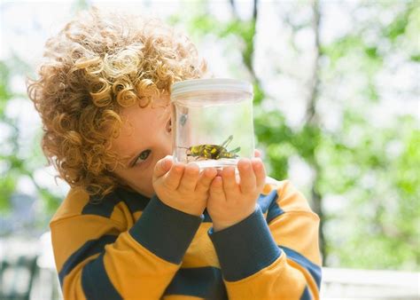 Perfectly Buggy Insect Books For The Classroom Brightly Insect Activities Background