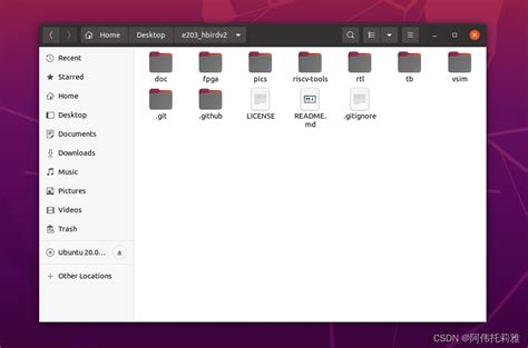蜂鸟e203运行verilog仿真测试 e203仿真 csdn博客