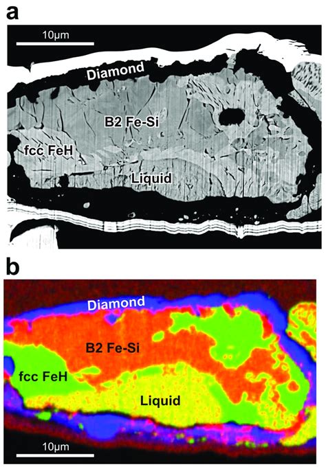 Coexisting Fe Si H Liquid And Solid Fcc Feh And B2 Fe Si Phases At 48 Download Scientific