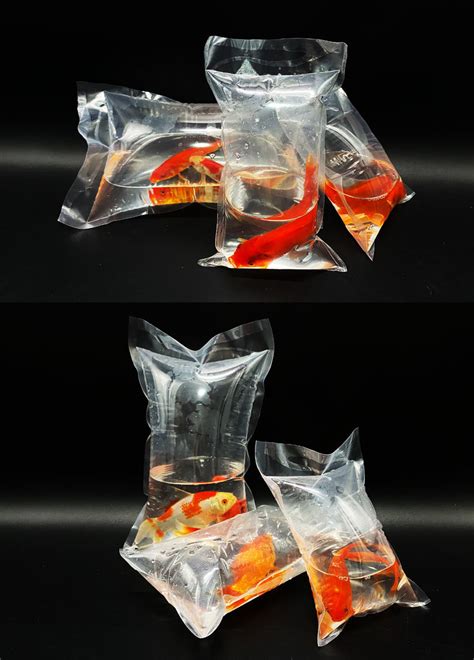 加厚观赏鱼水族打包袋鱼苗氧气袋装蛇形口充氧运输塑料袋活鱼打包 阿里巴巴