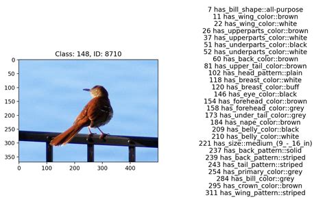 Universality And Hidden Information In Concept Bottleneck Models — Ai Alignment Forum
