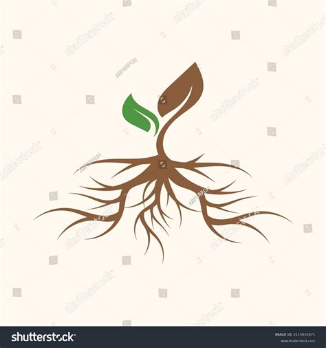 Vector Root Underground Creative Tree Tree Stock Vector Royalty Free Shutterstock
