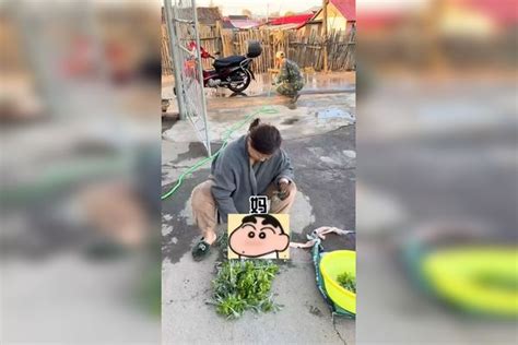 当东北孩子呆在家，说的每句话都能惹到妈东北孩子