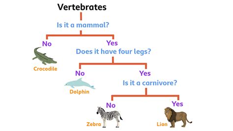 What Are Classification Keys Ks2 Science Curriculum Bbc Bitesize