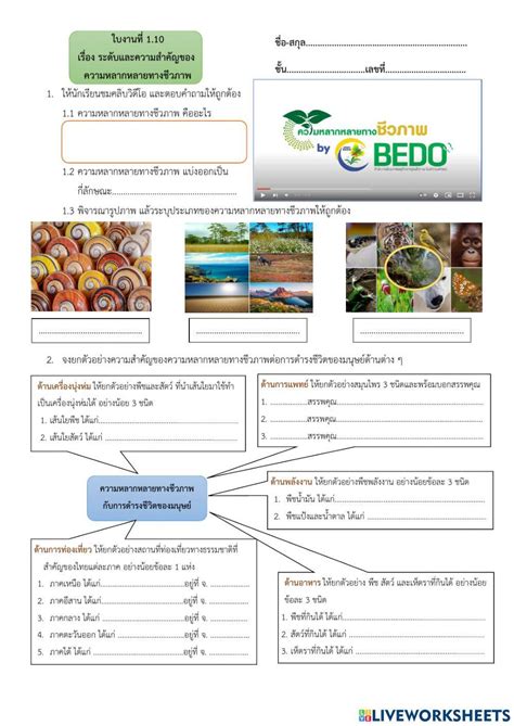 110ความหลากหลายทางชีวภาพ Online Exercise For Live Worksheets