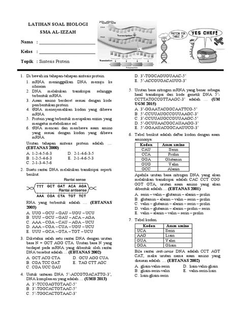 Sintesis Protein Pdf