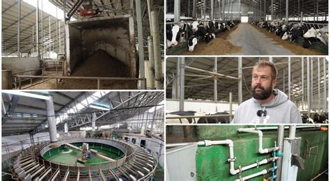 Innowacyjny Farmer Obora na krów pełna innowacji