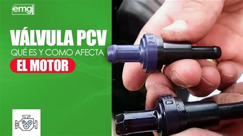 Valvula Pcv Funcionamiento Y Fallas At Devon Nettles Blog