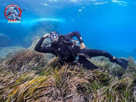 Gran Canaria Discover Scuba Diving Beginner Program GetYourGuide