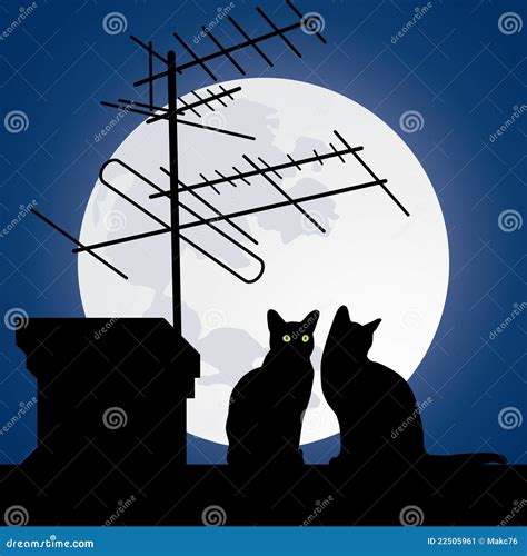 Gatos En Las Azoteas Ilustración Del Vector Ilustración De Gatito