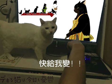 【情報】動畫《能幹貓今天也憂鬱》釋出期間限定無字幕 Ed 影片！ 能幹貓今天也憂鬱 哈啦板 巴哈姆特
