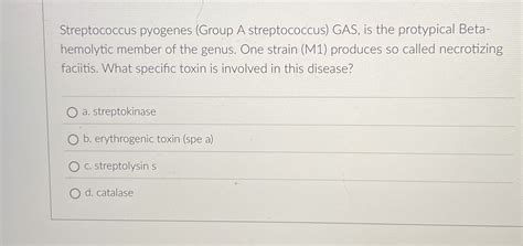 Solved Streptococcus Pyogenes Group A Streptococcus ﻿gas