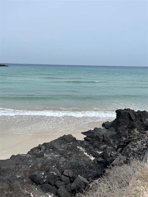 국내 제주도 2박3일 여행기