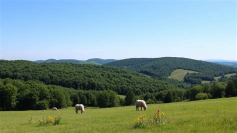 Oud President Assad En Zijn Gezin In Moskou