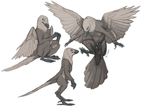 Anthro Crows — Weasyl