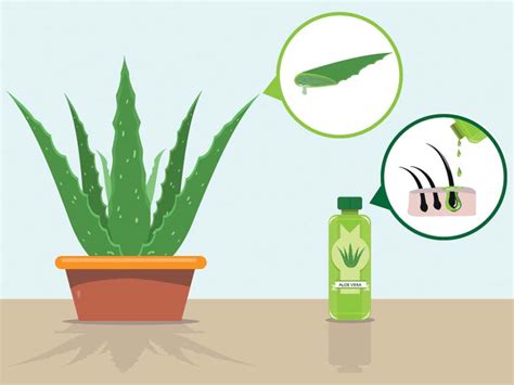 Patanjali Aloe Vera Juice Benefits And Side Effects At Dennis Marquis Blog