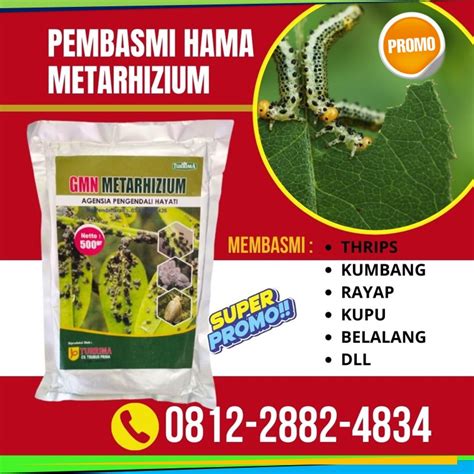 Ampuh 0812 2882 4834 Pusat Obat Hama Kutu Putih Gondokusuman