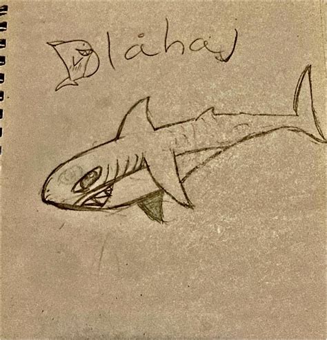 My Drawings Of My Blåhaj By Me Ofc Rblahaj